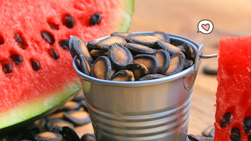 Orang China Makan Kuaci Sejak Dinasti Qing - Berita Indonesia